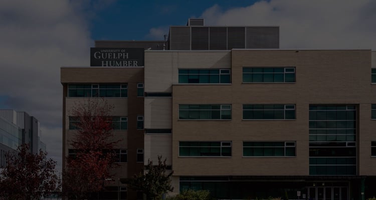 Humber College Admission, Programmes, Tuition Fees, and Others